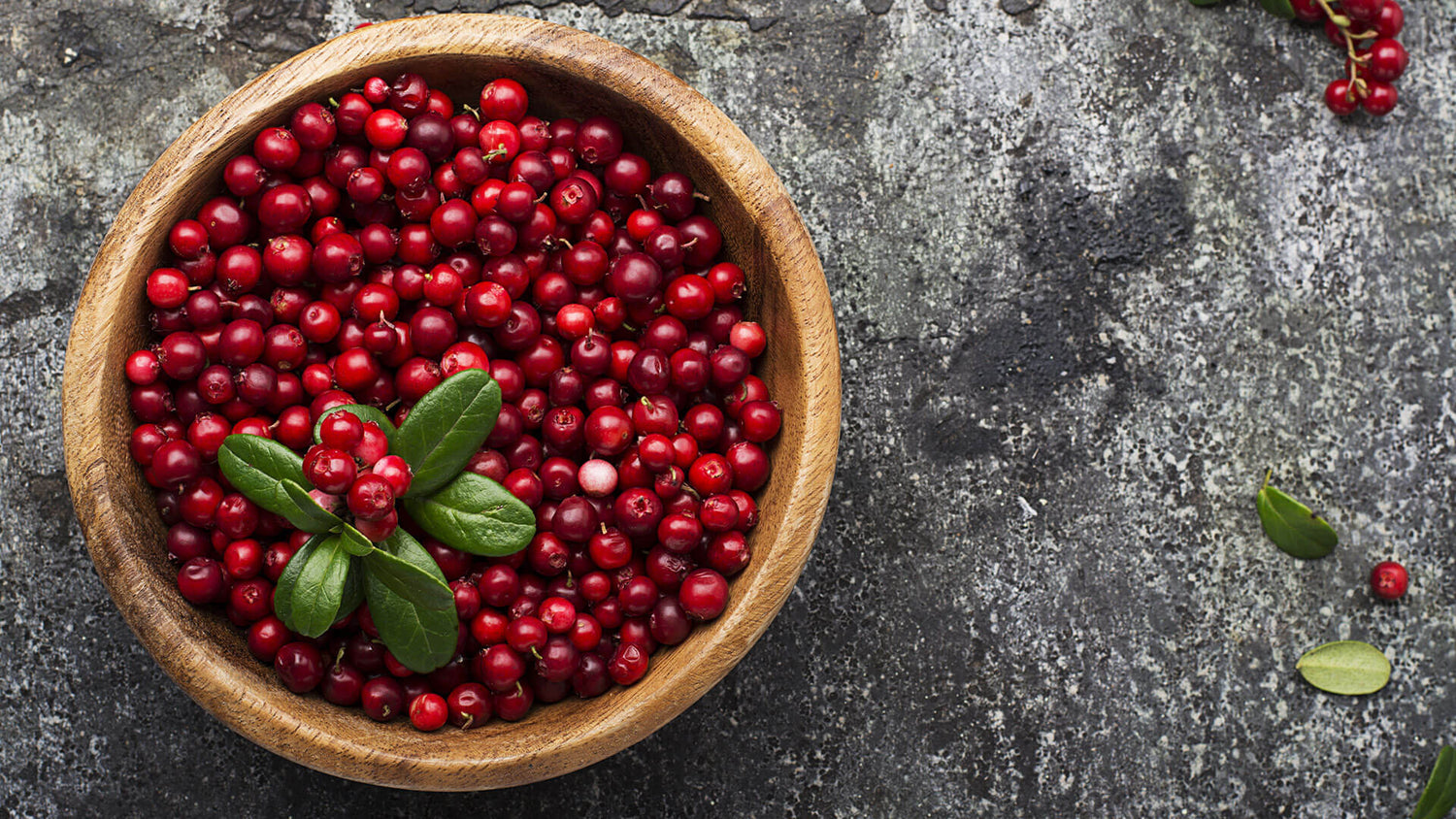 Preiselbeeren - alles was du über die Preiselbeere wissen musst ...